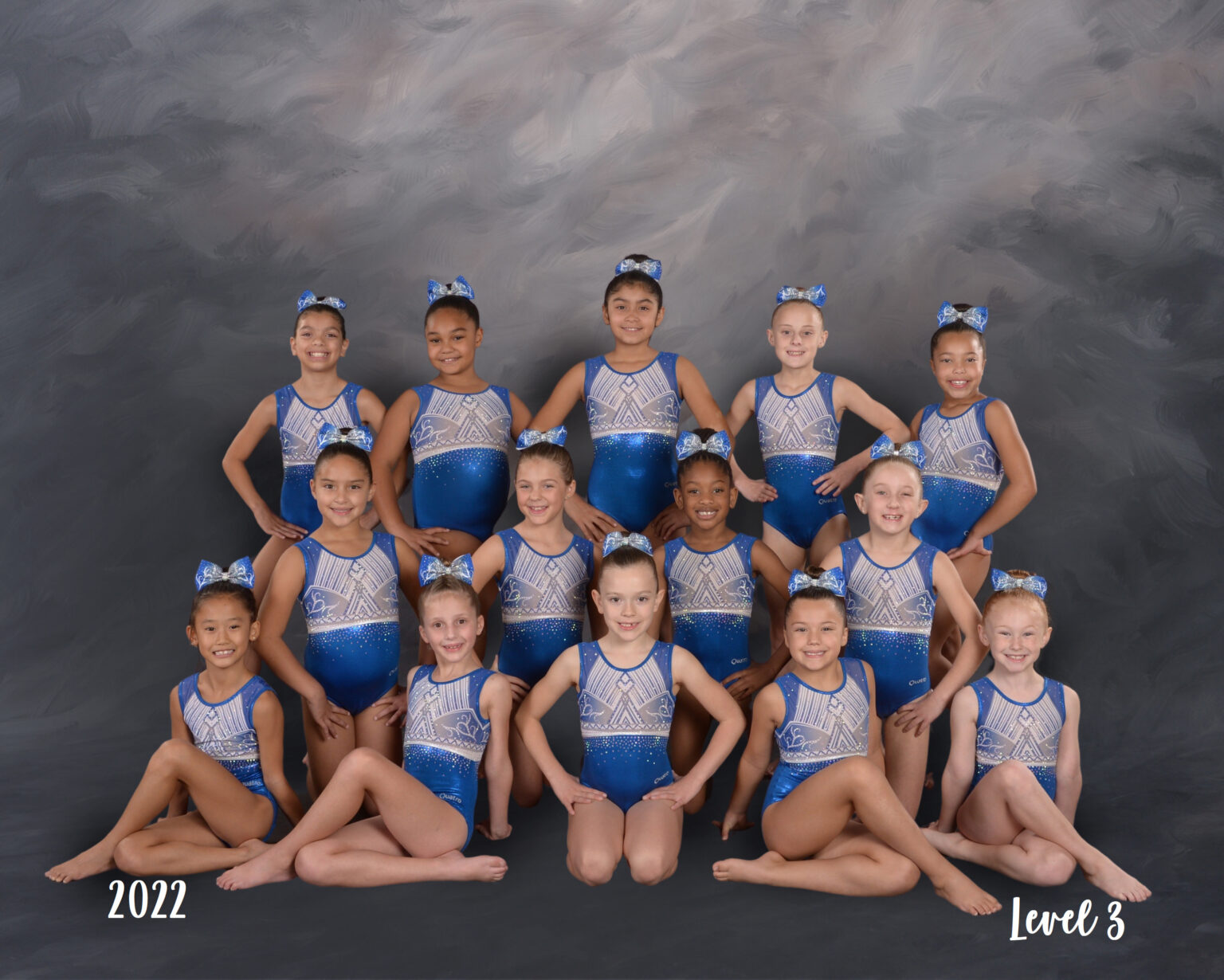 Artistic Gymnastics - Powerhouse Gymnastics Training Center